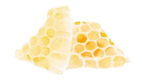 Beeswax (Cera Alba) - Weleda